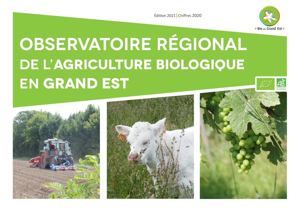 La Bio continue sa progression en Grand Est | Bio Grand Est