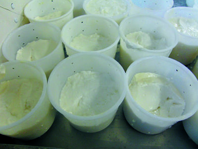 Formation : Initiation à la transformation fromagère : du lait de ...