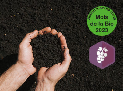 FORMATION : La biologie des sols viticoles et leurs fonctionnements ...