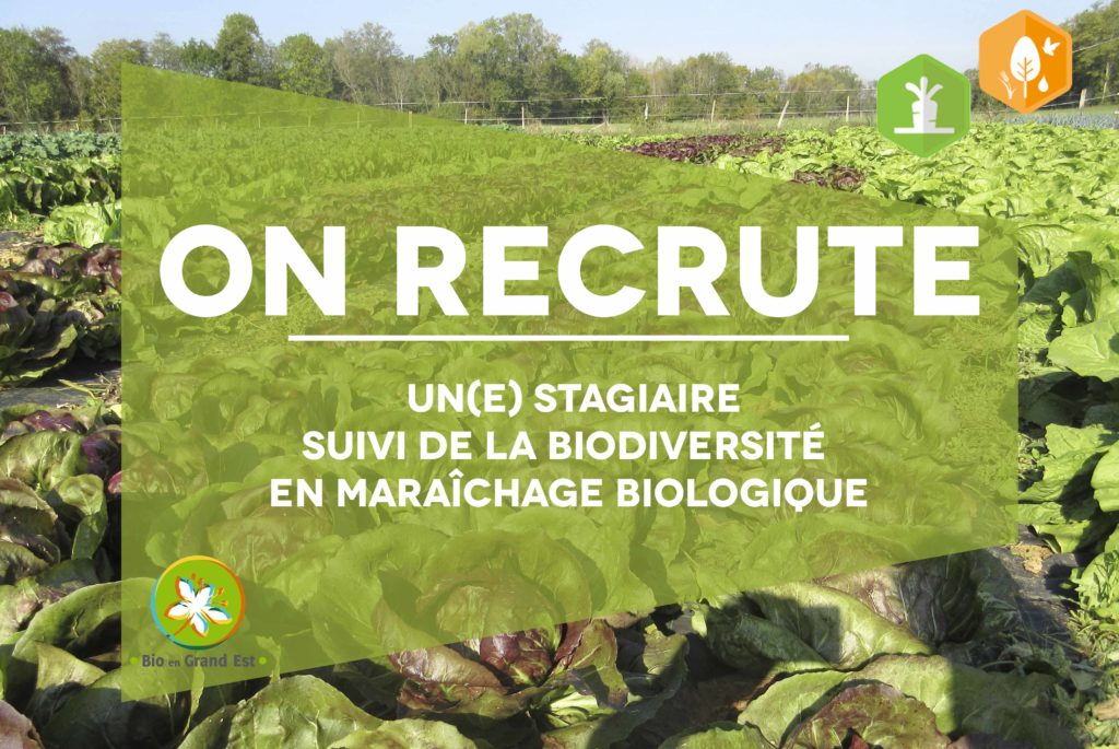 Offre de stage : Suivi de la biodiversité en maraîchage biologique ...